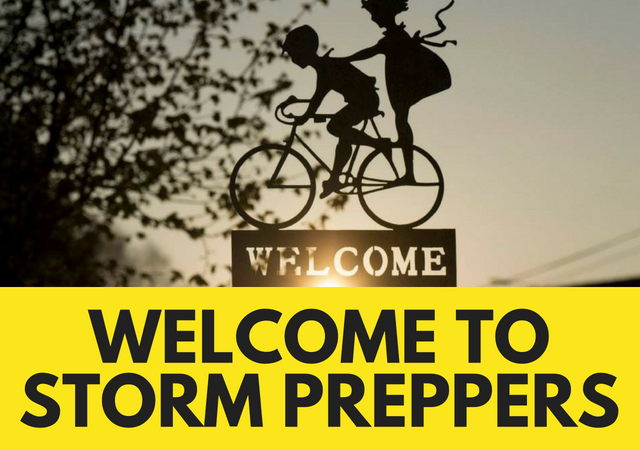 Storm Preppers | Tropical Storm Preparedness