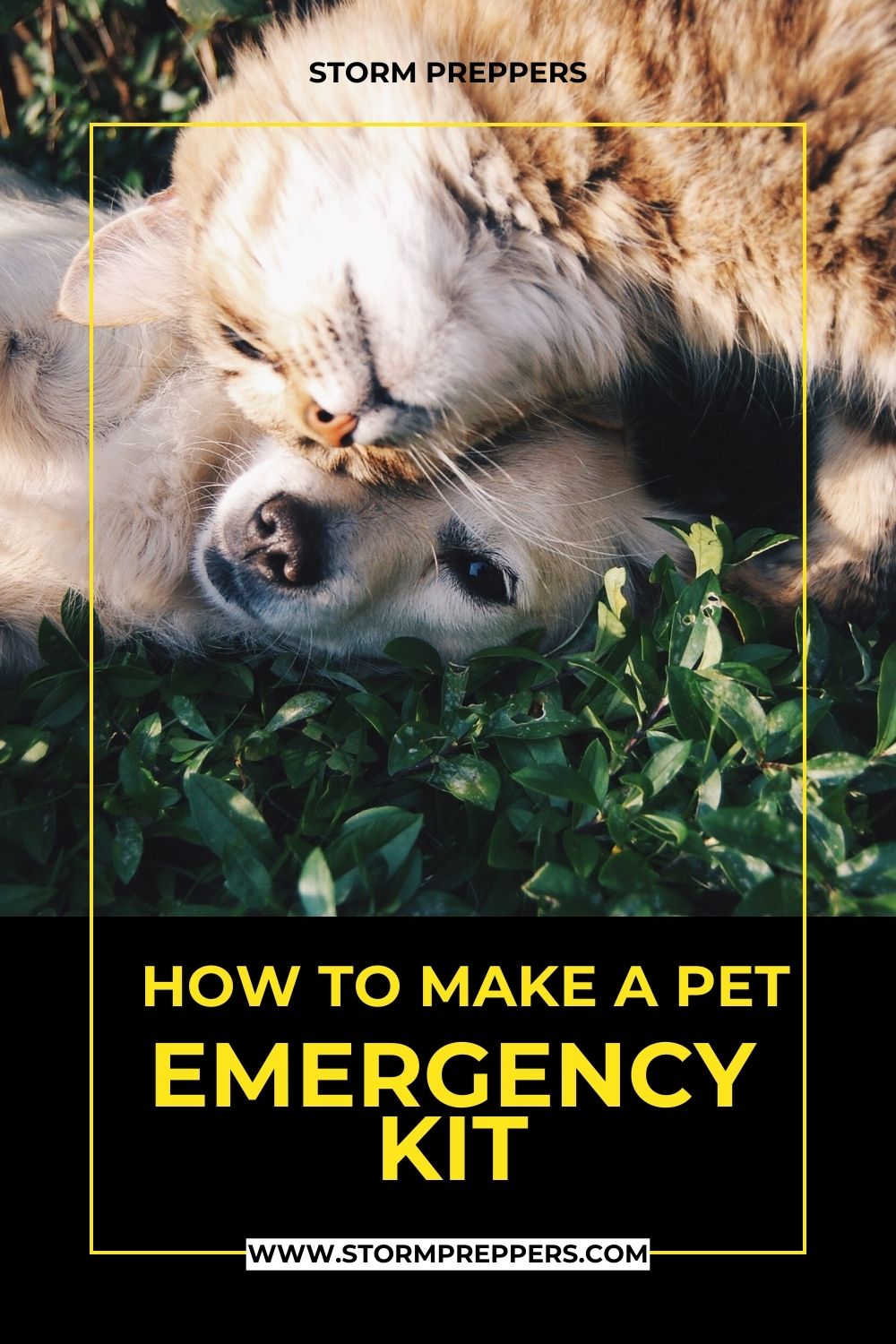 How to Make a Pet Emergency Kit | Storm Preppers